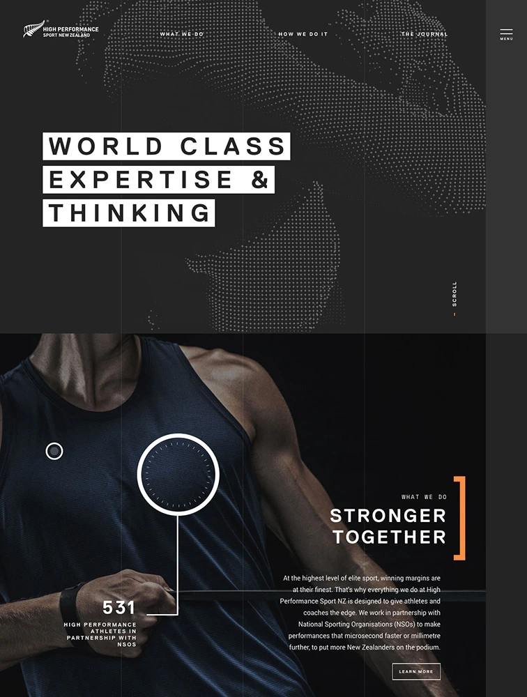 HPSNZ website design - Lapa Ninja