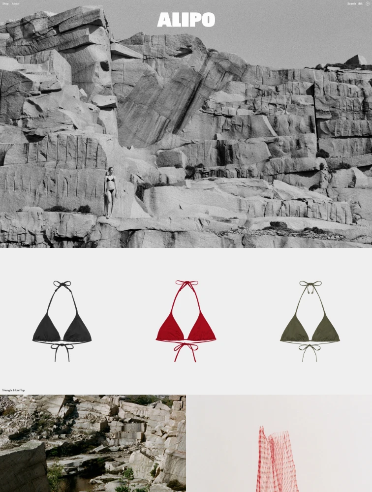 Alipo website design - Lapa Ninja