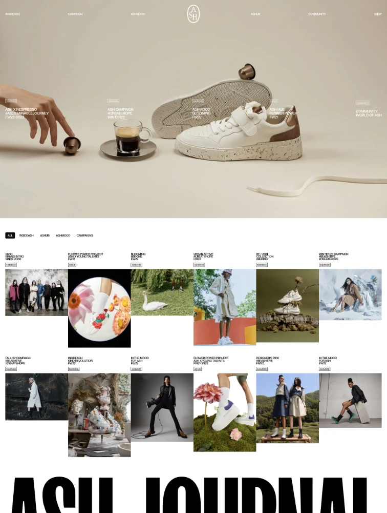 ASH website design - Lapa Ninja