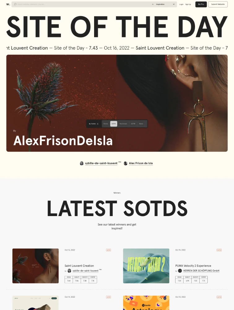 Awwwards website design - Lapa Ninja