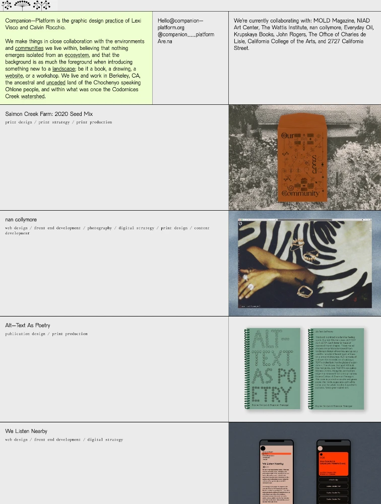 Companion-Platform website design - Lapa Ninja