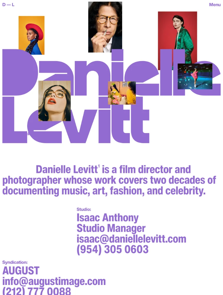 Danielle Levitt website design - Lapa Ninja