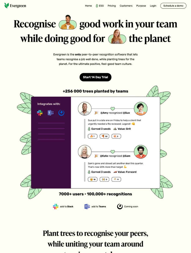 Evergreen website design - Lapa Ninja