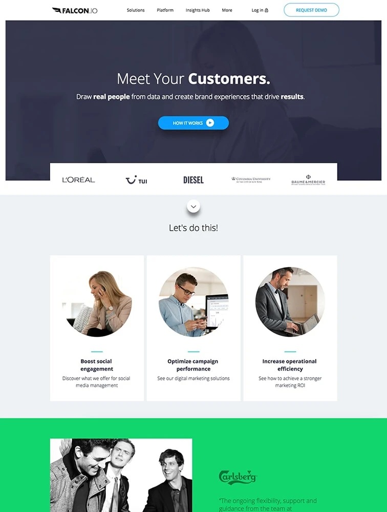 Falcon website design - Lapa Ninja