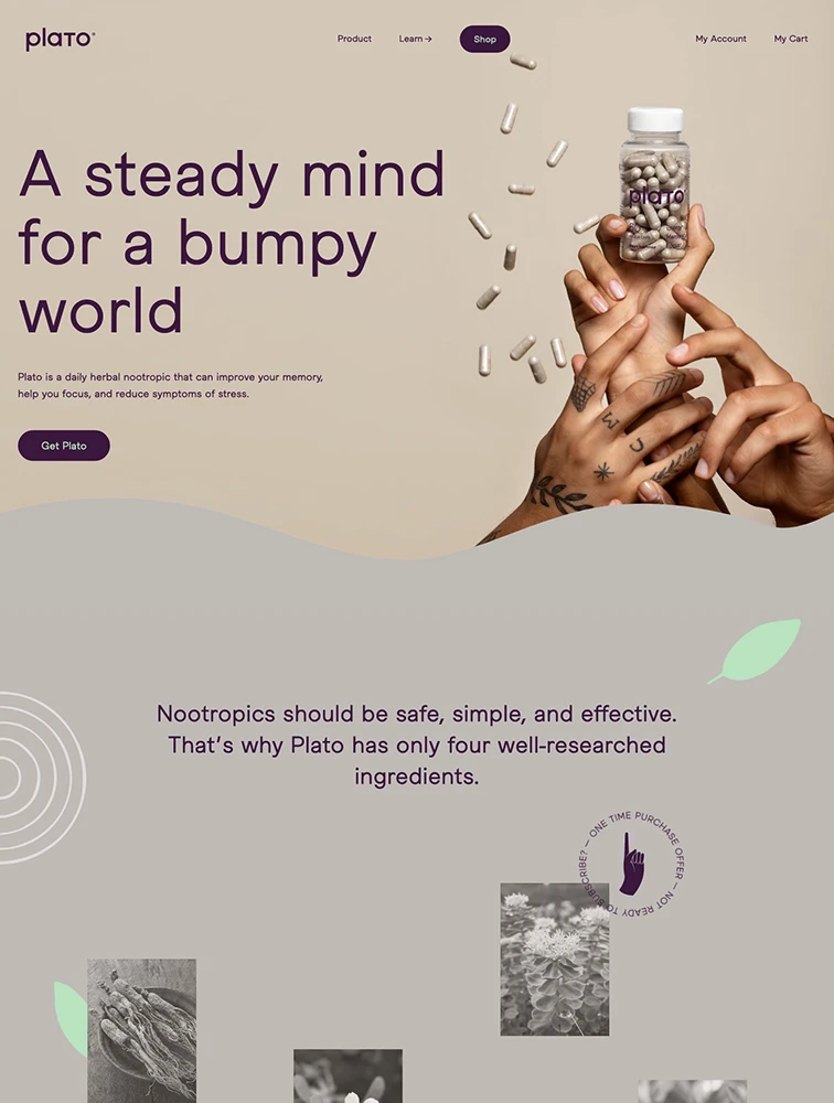 Plato website design - Lapa Ninja