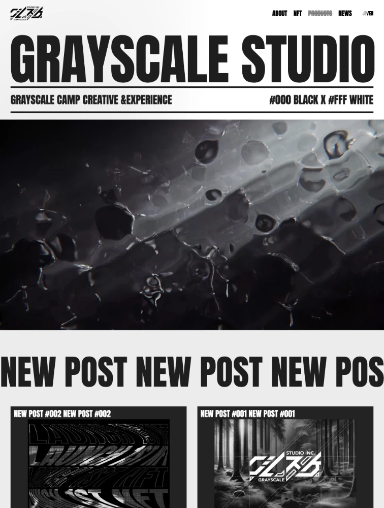 GRAYSCALE STUDIO website design - Lapa Ninja