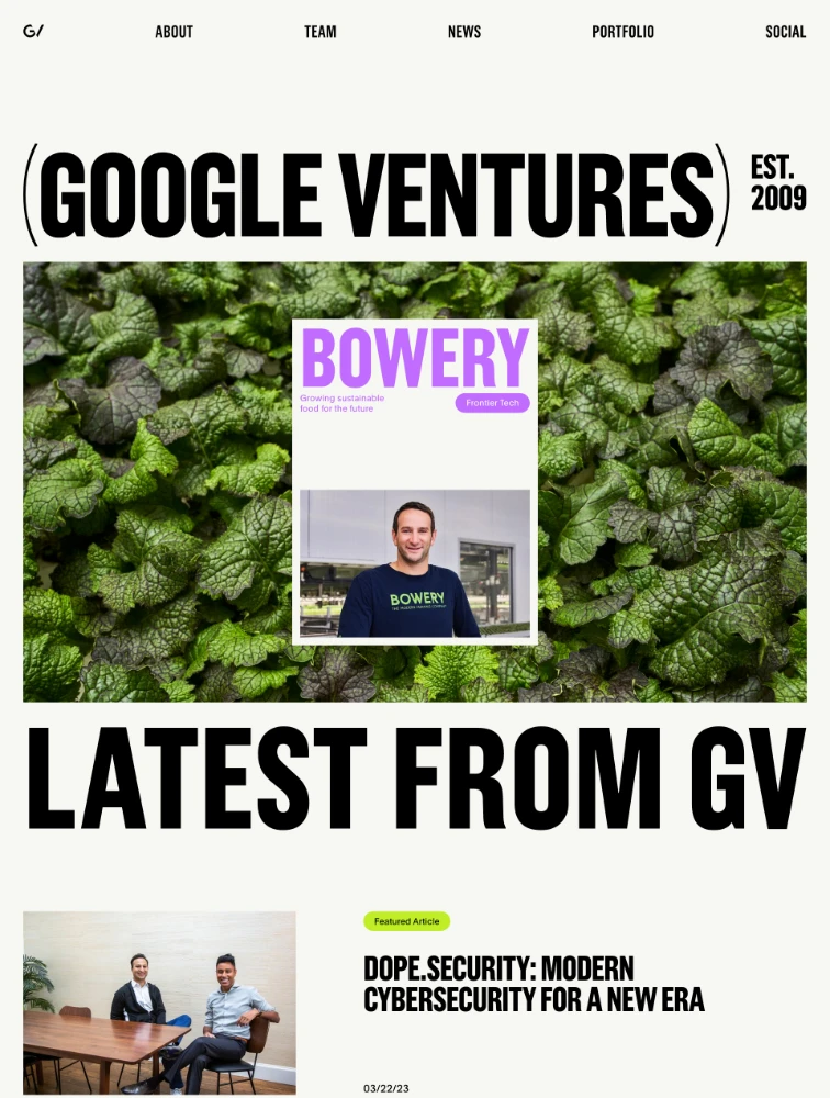 GV website design - Lapa Ninja