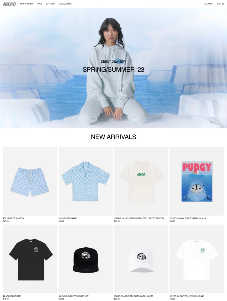 IGLOO website design - Lapa Ninja