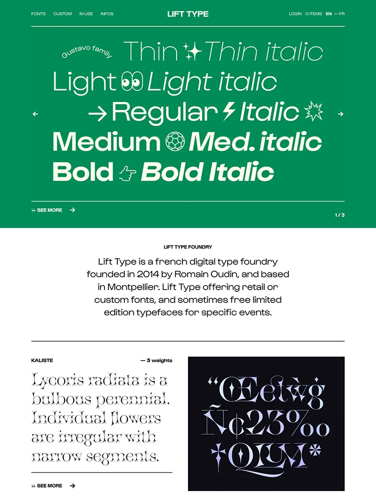 Lift Type website design - Lapa Ninja