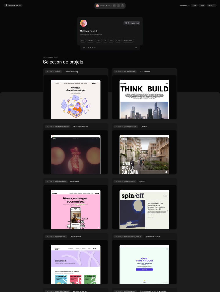 Matthieu Renaut website design - Lapa Ninja