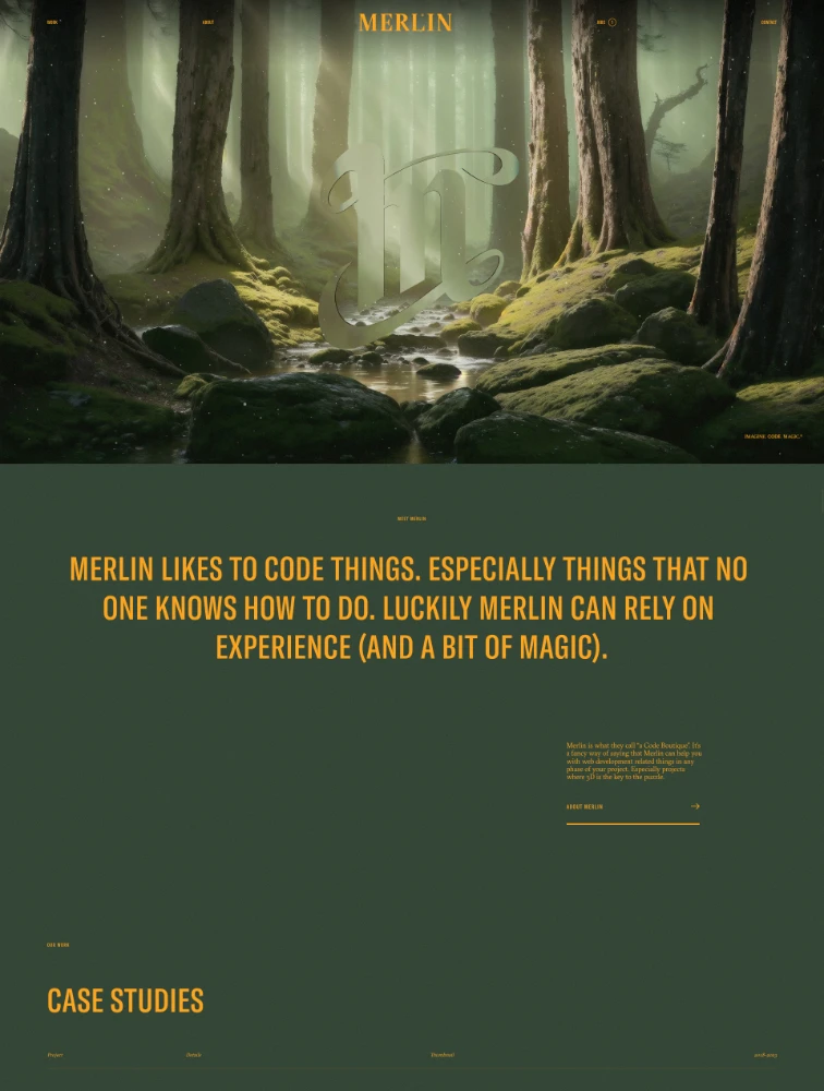 Merlin Studio website design - Lapa Ninja