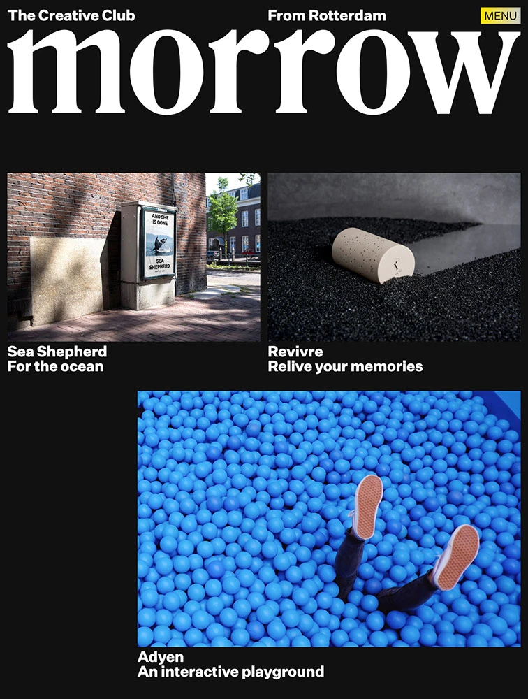 Morrow website design - Lapa Ninja