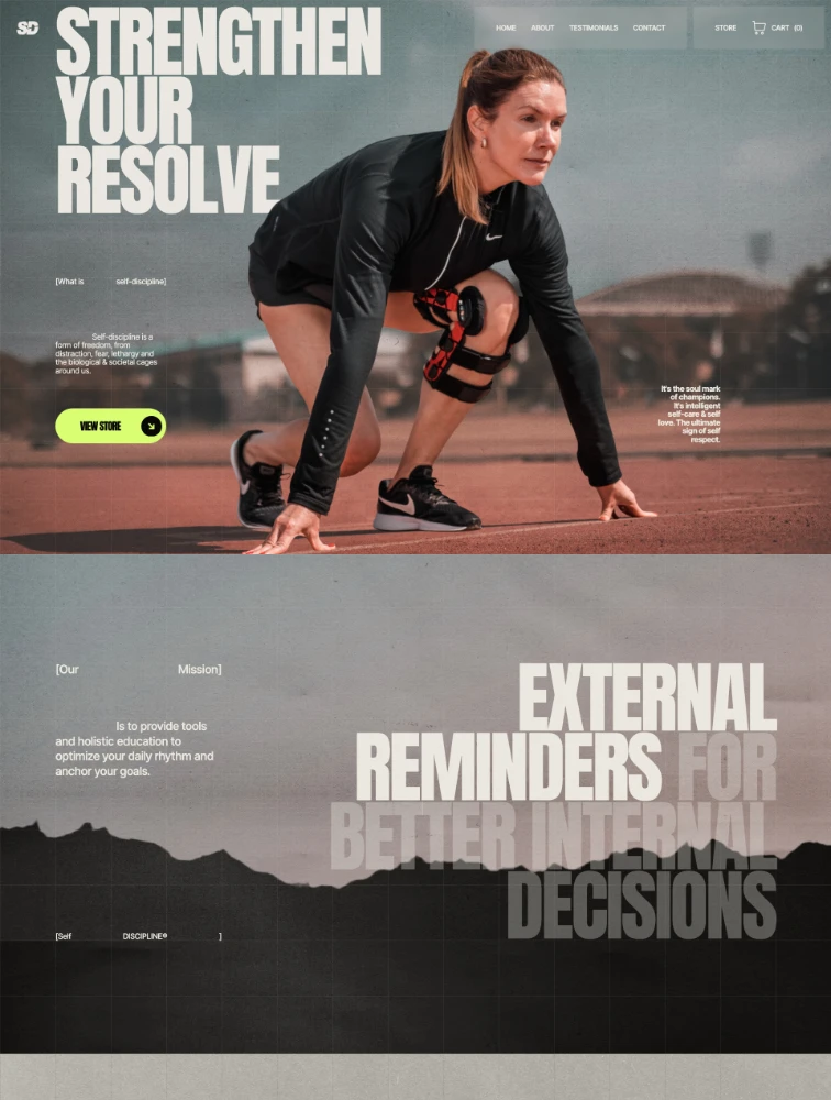 SELF-DISCIPLINE website design - Lapa Ninja