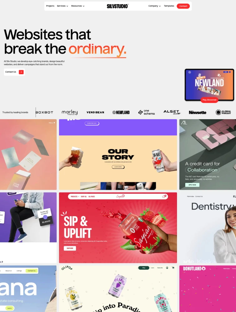 Silv Studio website design - Lapa Ninja