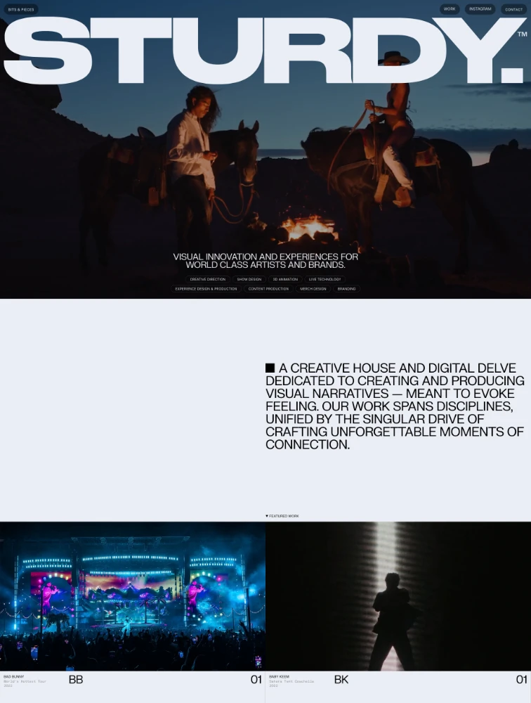 STURDY website design - Lapa Ninja