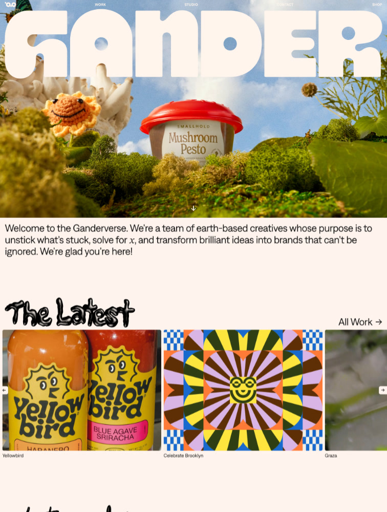 Gander website design - Lapa Ninja