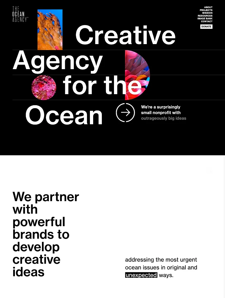 The Ocean Agency - Website Showcase | Lapa Ninja