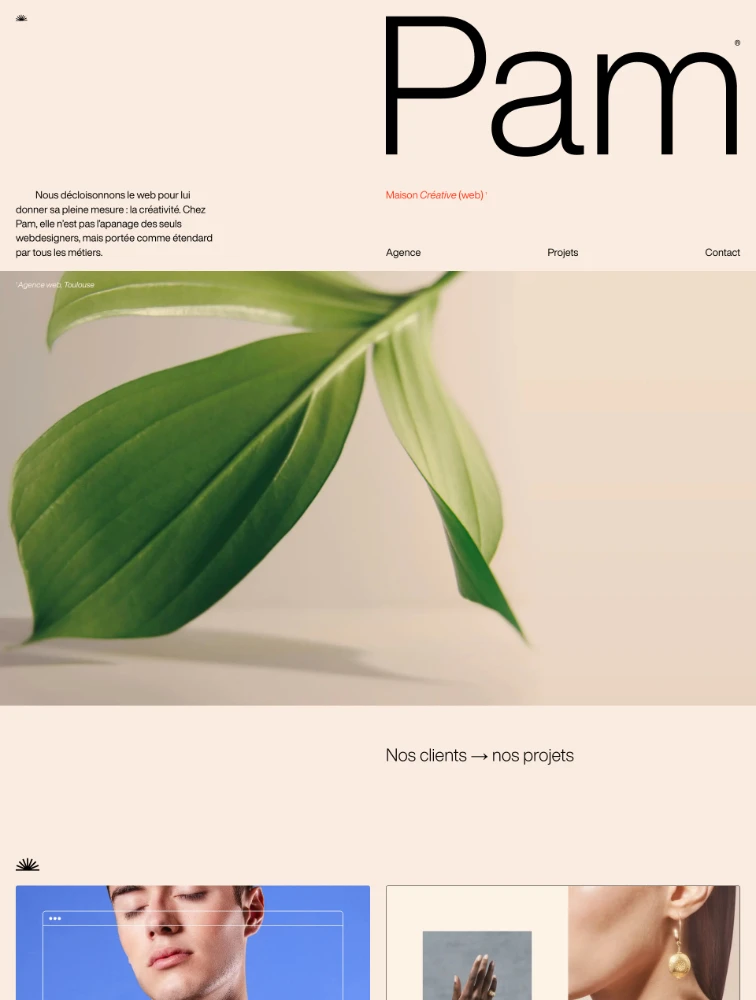 Pam website design - Lapa Ninja