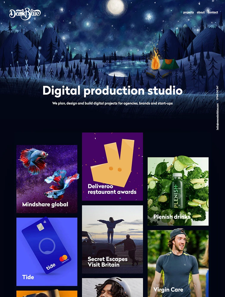 Dark Blue website design - Lapa Ninja