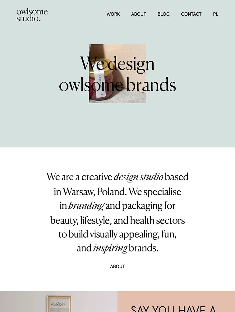 We are owlsome website design - Lapa Ninja