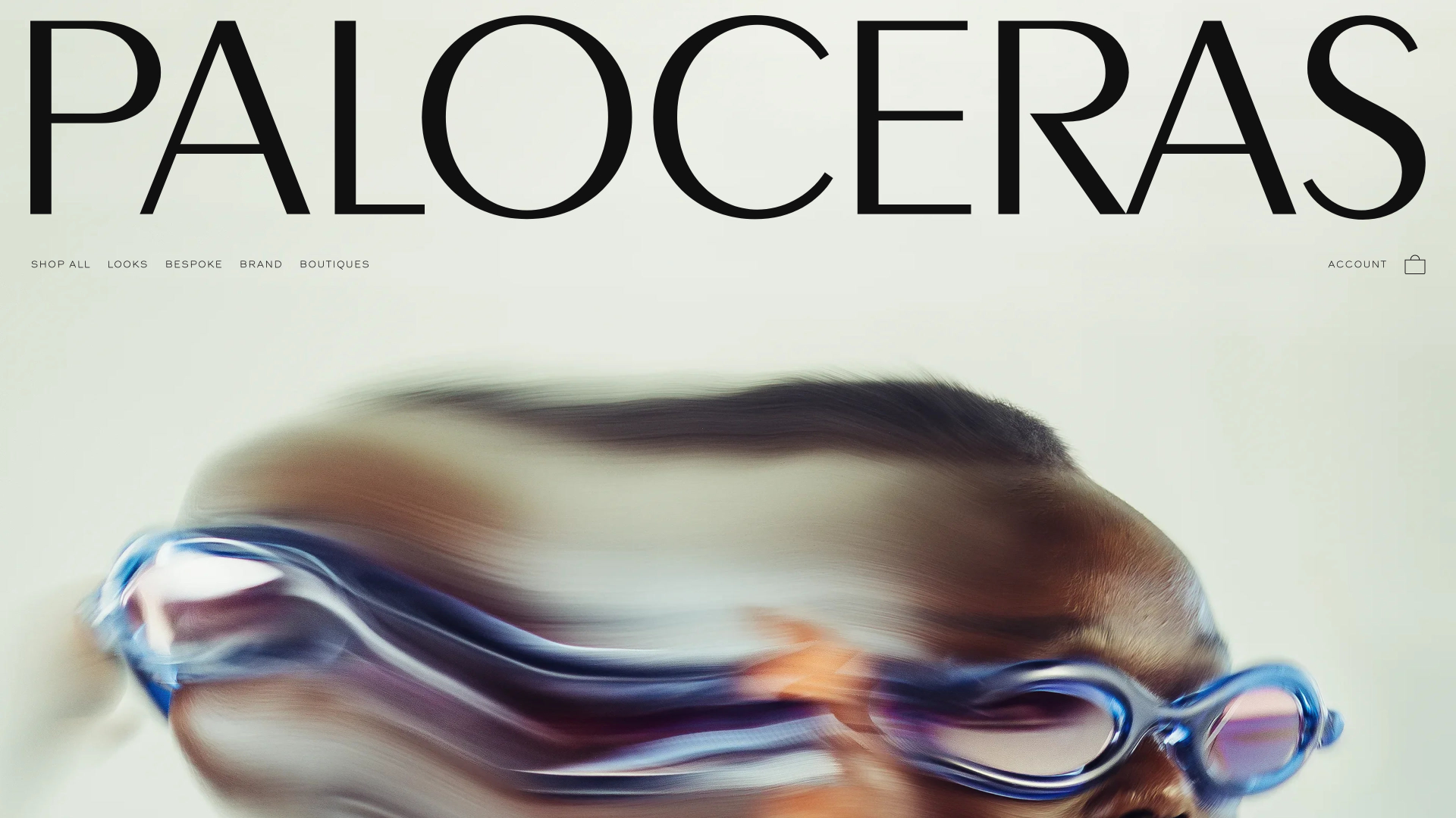 Paloceras - Landing Page Design | Lapa Ninja