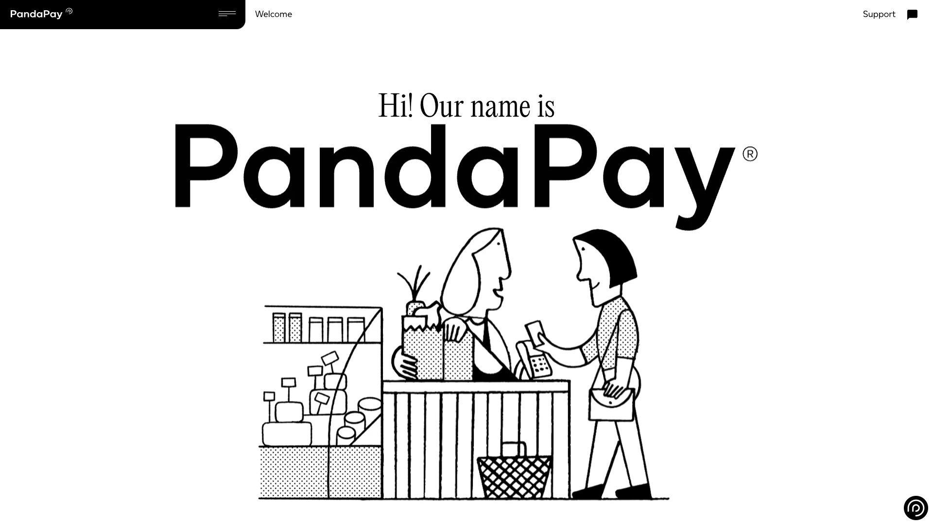 PandaPay - Website Showcase | Lapa Ninja