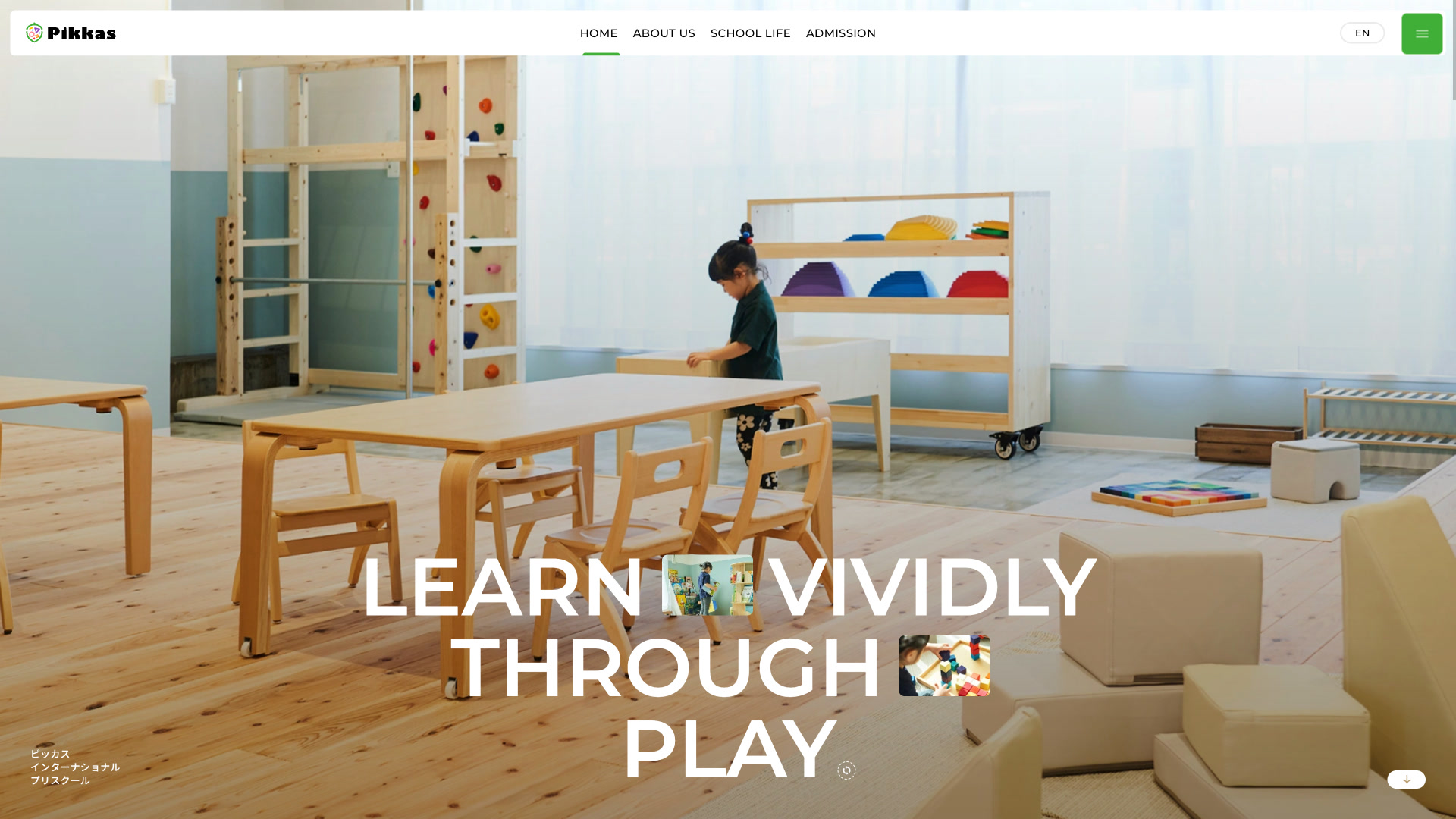 Pikkas - Landing Page Design | Lapa Ninja