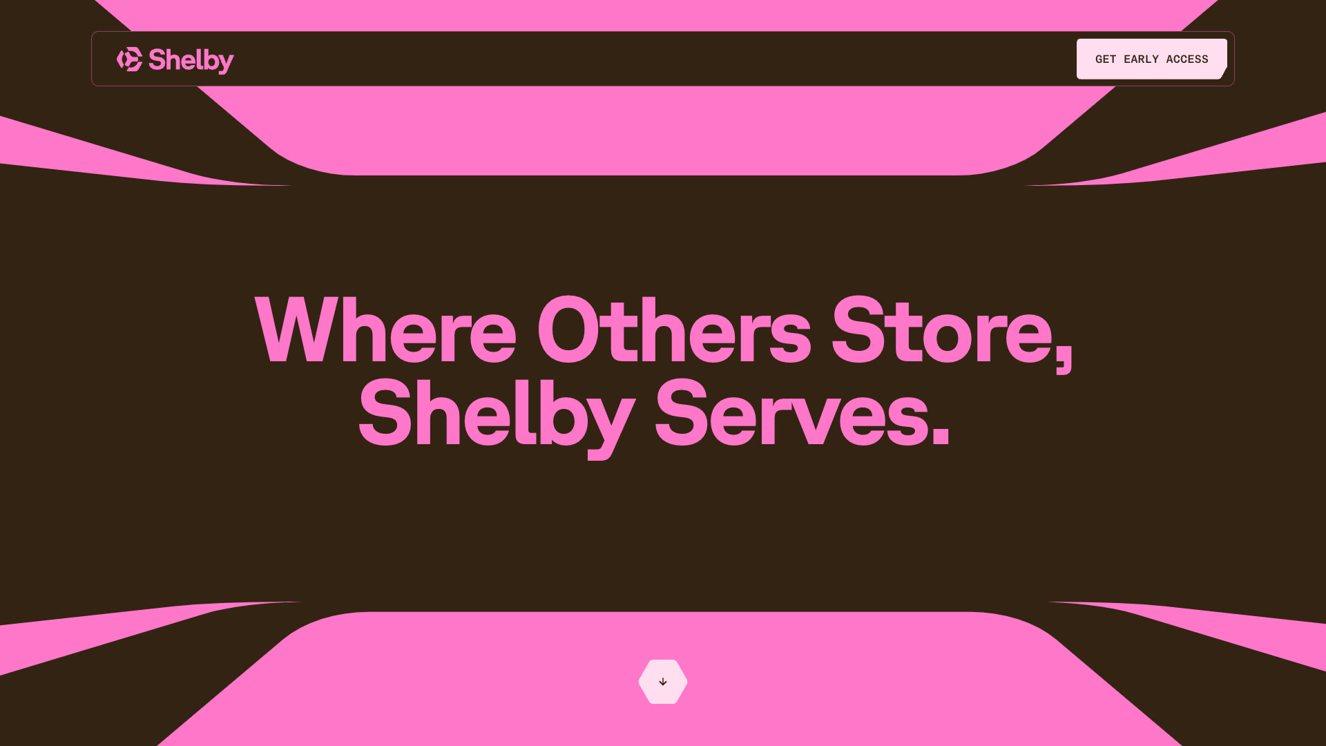 Shelby - Landing Page Design | Lapa Ninja